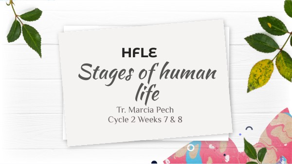 HFLE Cycle 2 Weeks 7 & 8