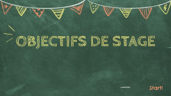 Les objectifs de stage | Genially