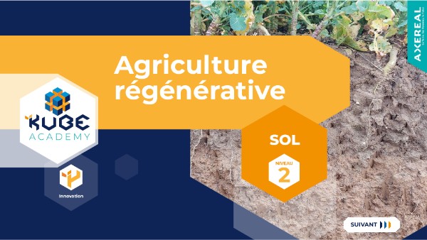 SOL INTRO | Genially