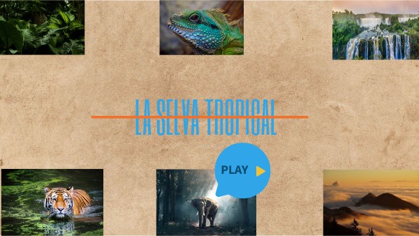 La selva tropical | Genially