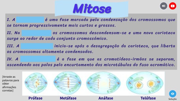 Mitose | Genially
