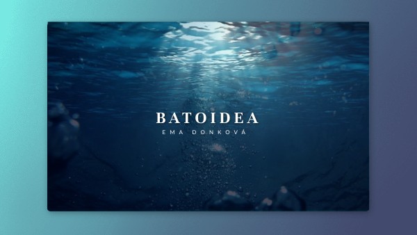 Batoidea (ENG) - Basics