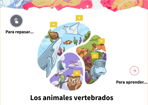 Los animales vertebrados | Genially