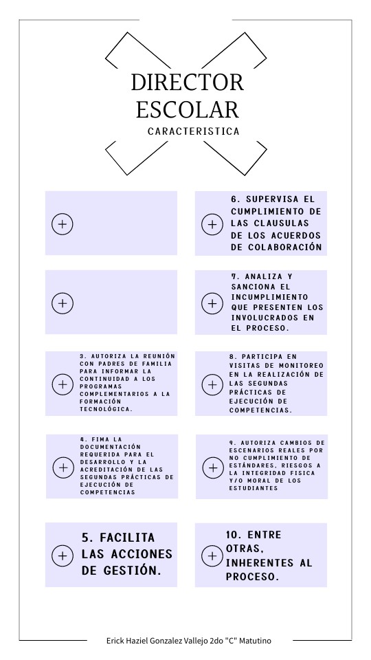Características director escolar