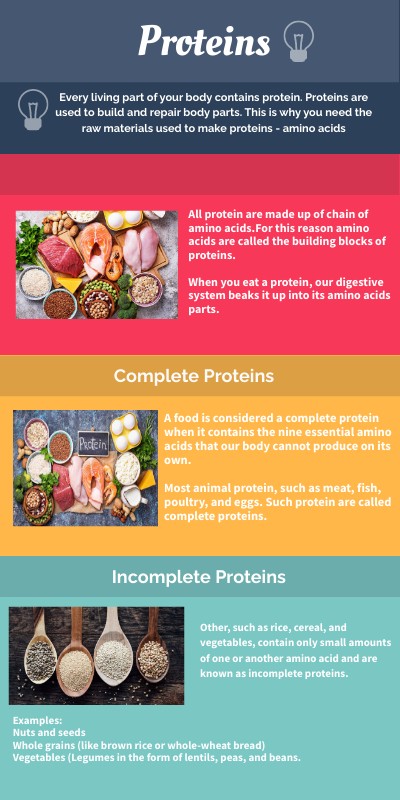 Protein Infographic | Genially