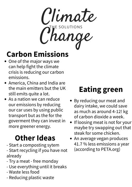 Climate Change Solutions Poster | Genially