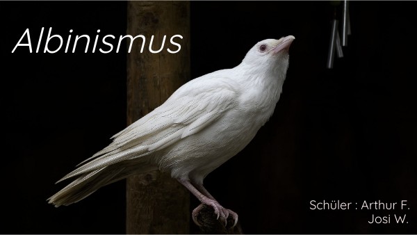 Albinismus | Genially
