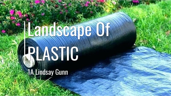 Landscape Of Plastic
