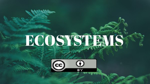 ECOSYSTEMS | Genially