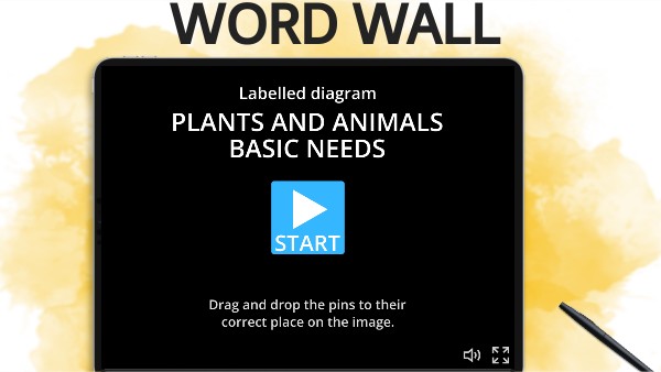 26.5 Word Wall-2nd grade | Genially