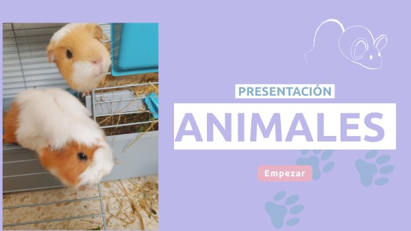 PRESENTACIÓN ANIMALES