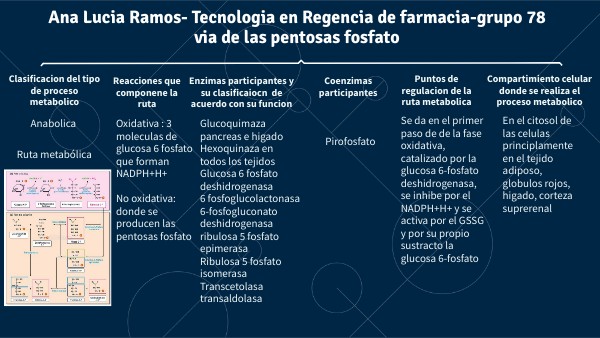 RUTAS METABOLICAS | Genially