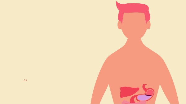 HUMAN BODY PRESENTATION | Genially