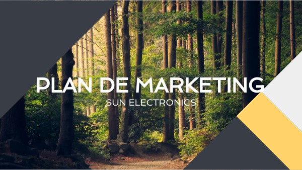 Sun Electronics | Genially