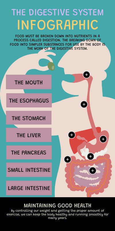 DIGESTIVE VERTICAL INFO