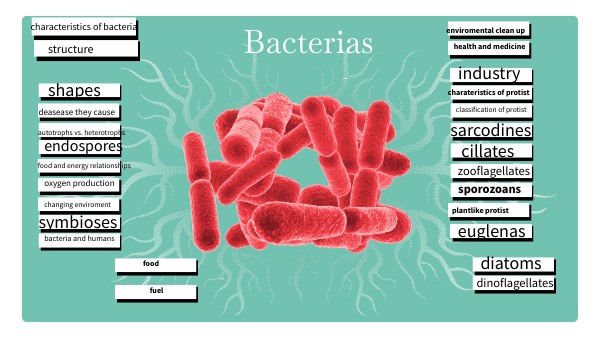 bacteria | Genially