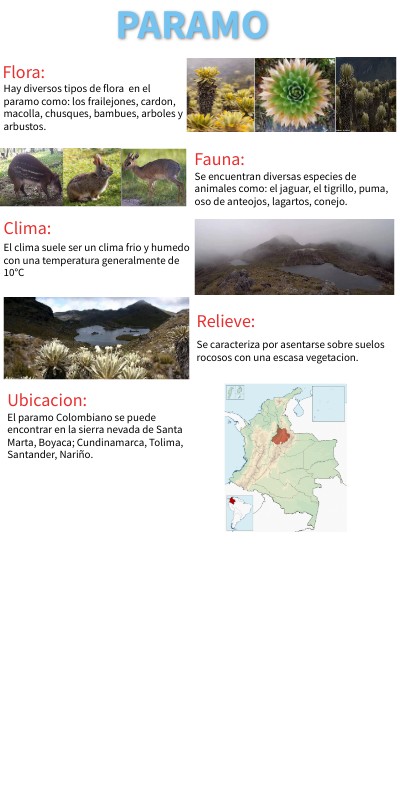 paramo infografia bimestral lengua | Genially