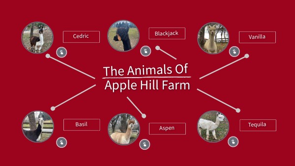 The Animals of Apple Hill Farm