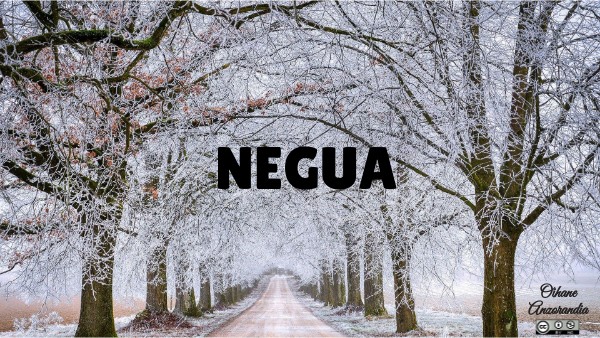 Negua. Vivaldi ezagutuz. | Genially