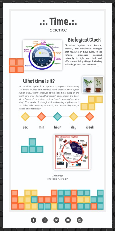 BIOLOGICAL CLOCK - CIRCADIAN RHYTHM