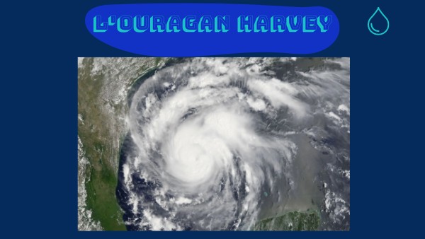 ouragan harvey