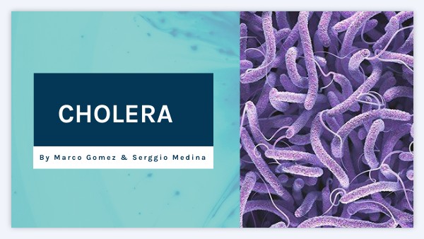 Cholera | Genially