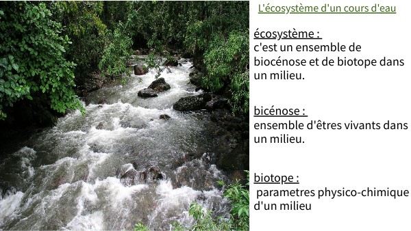 ecosysteme cours d'eau | Genially