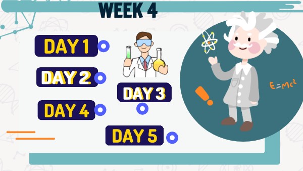 WEEK4_4GRADE_IVQ | Genially