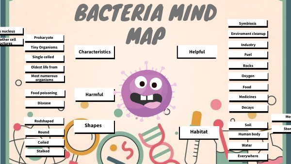 BRAIN MINDMAP | Genially