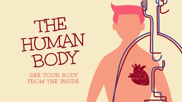 HUMAN BODY PRESENTATION