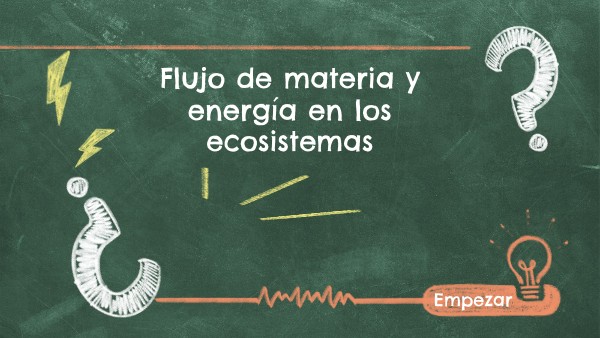 Flujo de materia y energía en un ecosistema | Genially