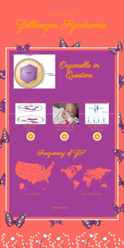 CMB Disease Project | Genially