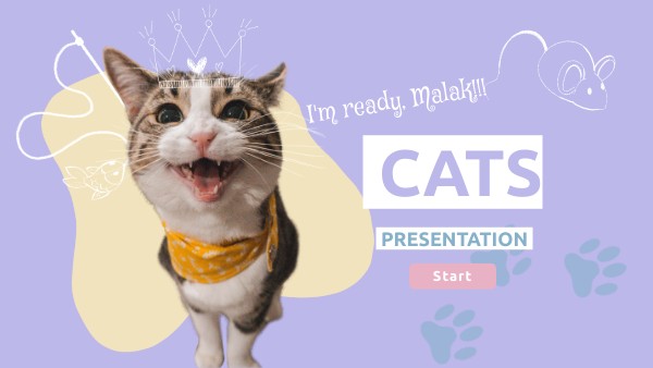 CATS PRESENTATION | Genially