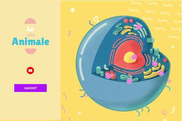 LA CELLULA ANIMALE