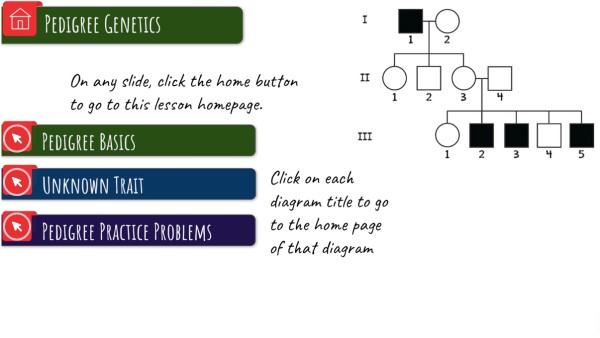 Genetic Pedigrees Interactive image | Genially