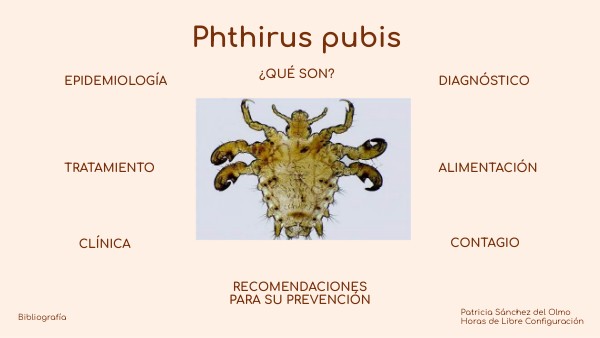 PHTHIRUS PUBIS | Genially
