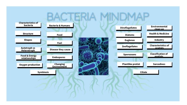 BACTERIA MINDMAP