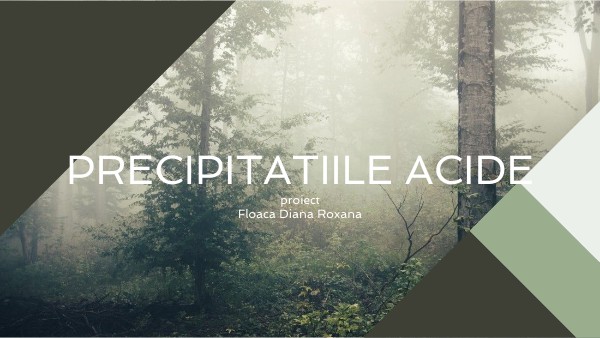 DIAGONAL PROJECT PRESENTATION | Genially