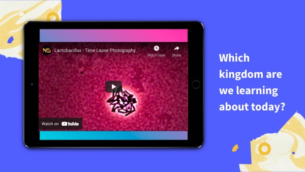 Monera Kingdom | Genially