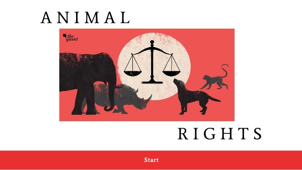 ANIMAL RIGHTS PRESENTATION | Genially