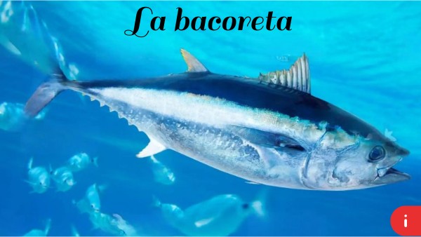 La Bacoreta | Genially