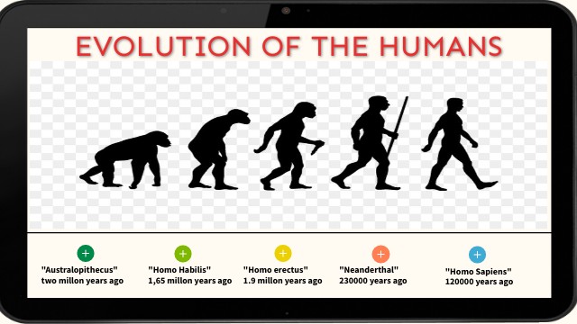 evolution of the humans | Genially
