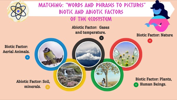 Matching: “Words and phrases to pictures” - Sofia Barros | Genially
