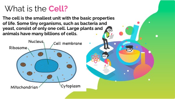 The Cell and its Structure - 4th and 5th Grade. Col. Bilingüe Panamá ...