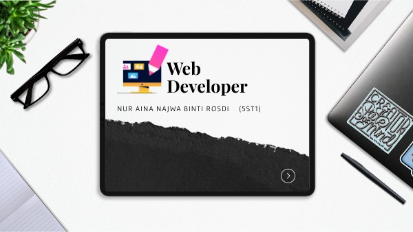 Web Developer
