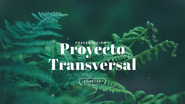 Proyecto Transversal