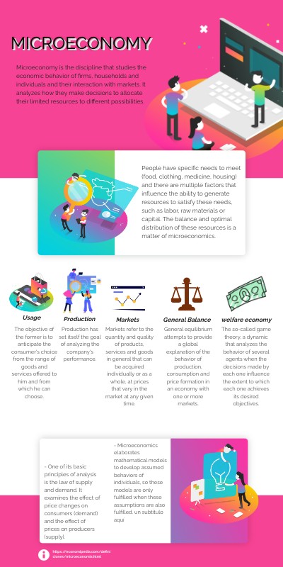 MICROECONOMY