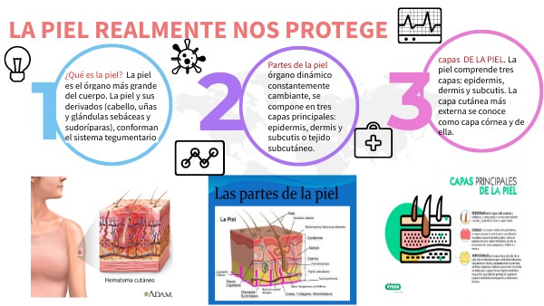 Infografia de ciencias naturales