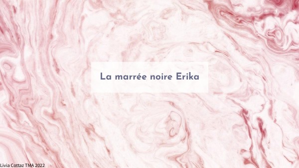 la marée noire Erika | Genially