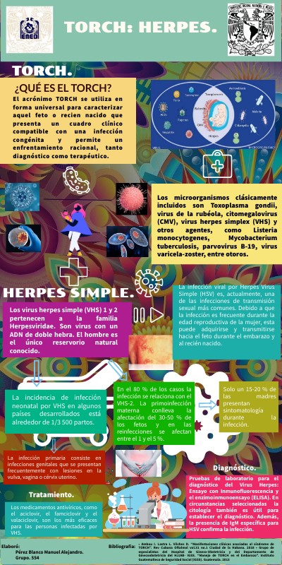 INFO VERTICAL CÉLULAS